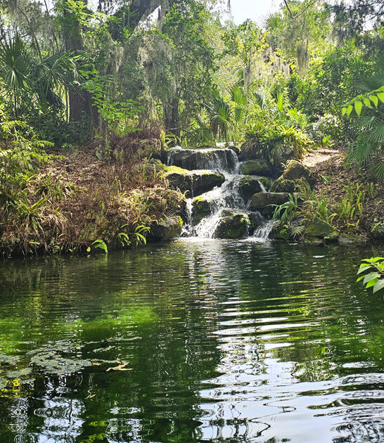 crystal water springs florida ftr