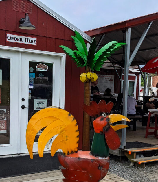 cuban sandwich succulent georgia ftr