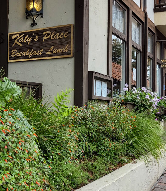 decent california homey restaurant ftr