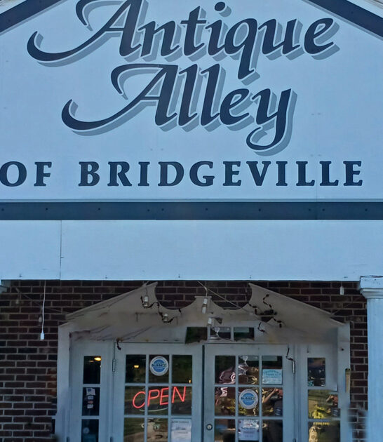 delaware antique shopping adventures ftr