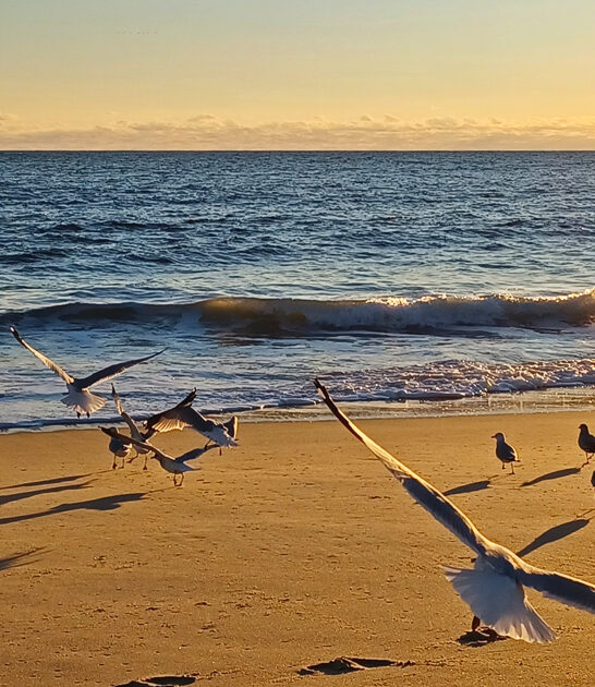 delaware beach getaway location ftr