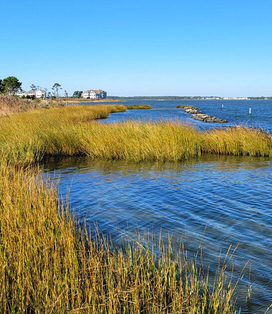 delaware beautiful state park ftr