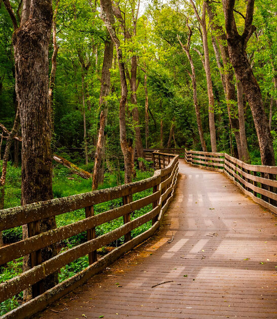 delaware discover state park ftr