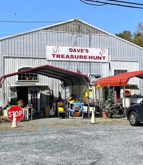 delaware dreams bargain hunting ftr