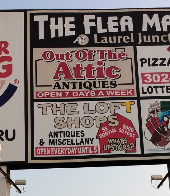 delaware flea best deals ftr