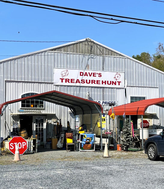 delaware giant vendor markets ftr