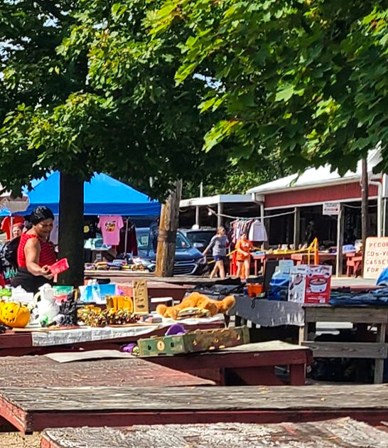 delaware large flea markets ftr