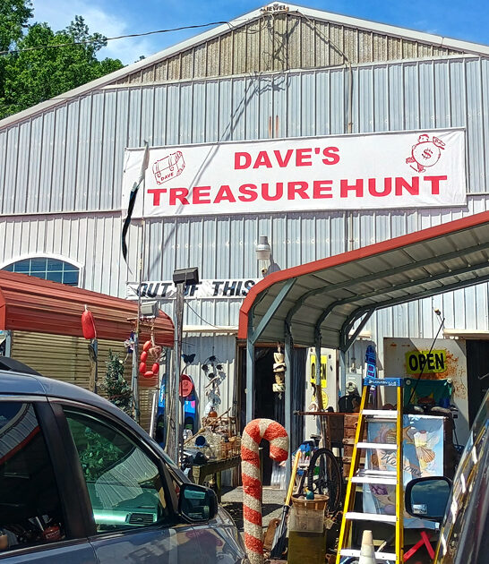 delaware rethink budget flea ftr