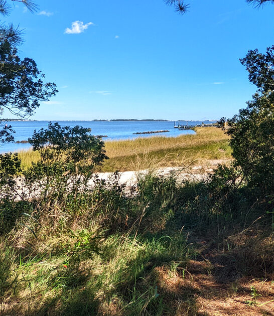 delaware state park hidden ftr