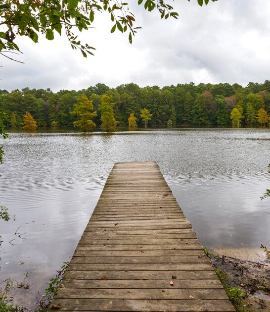 delaware state park relaxing ftr