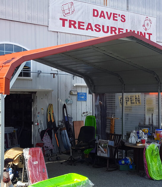 delaware vintage store collectors ftr