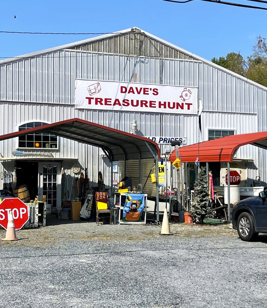 delaware vintage store pocket ftr