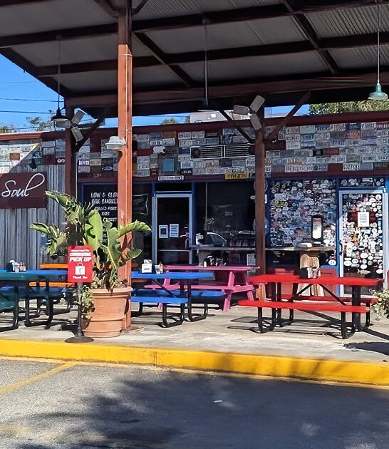 delectable georgia fried okra ftr