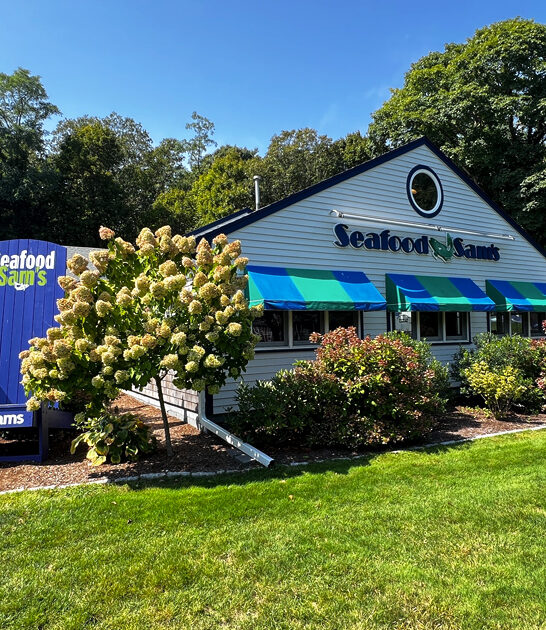 delectable lobster rolls massachusetts ftr