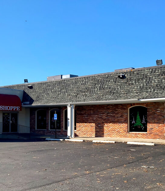 diner georgia fried chicken FTR