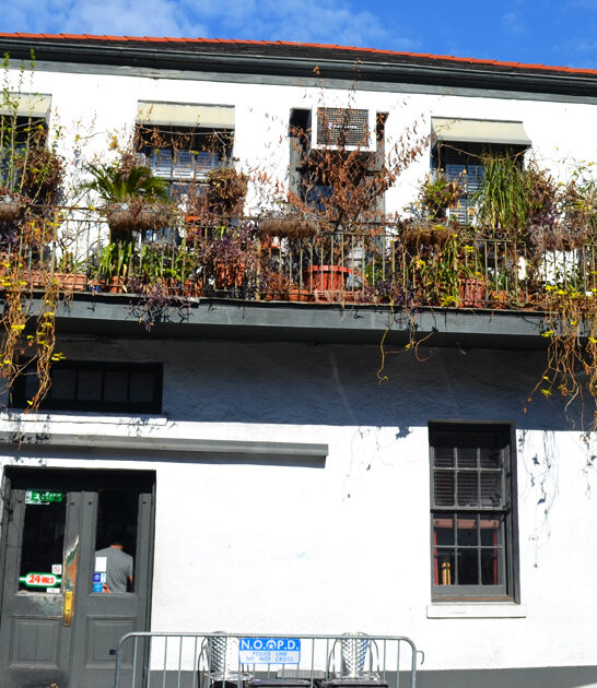 diner louisiana cheeseburgers ftr