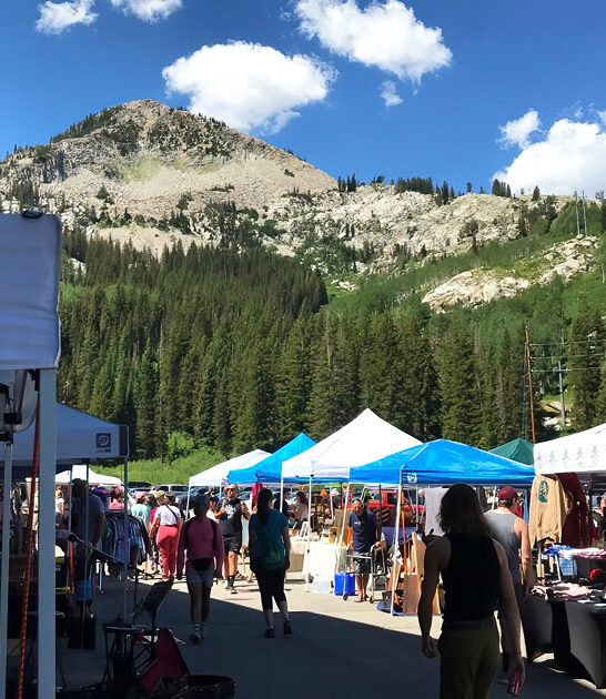discover utah flea market ftr