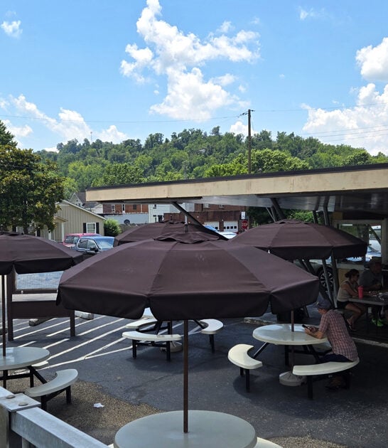 dogs joint west virginia FTR