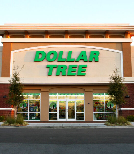 dollar store michigan carry ftr