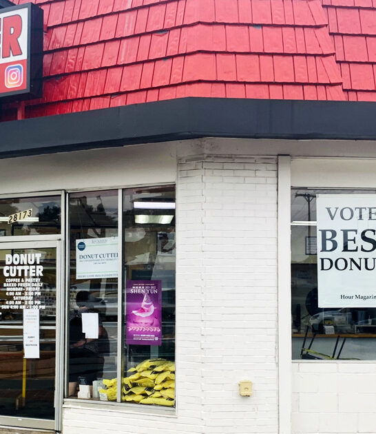 donut tiny shop michigan ftr