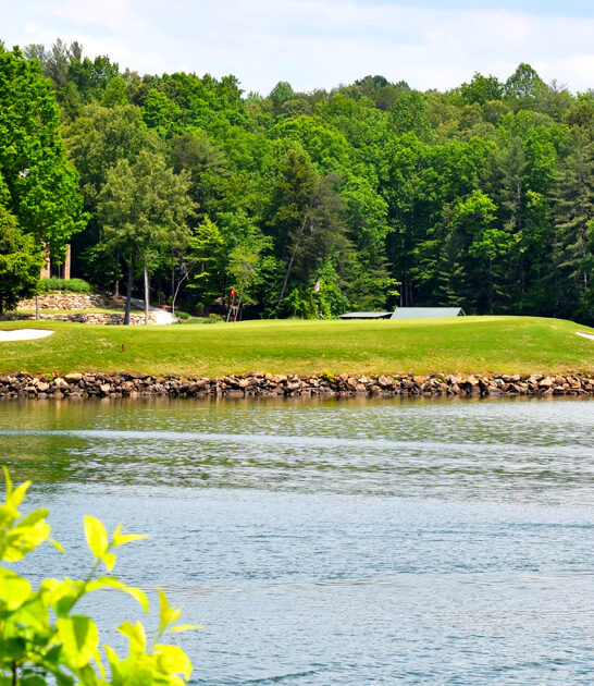 dream park south carolina FTR