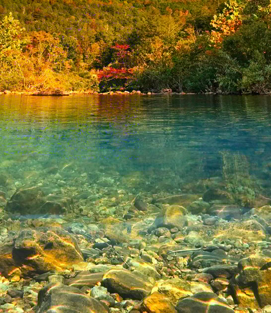 dreamiest magical park missouri ftr