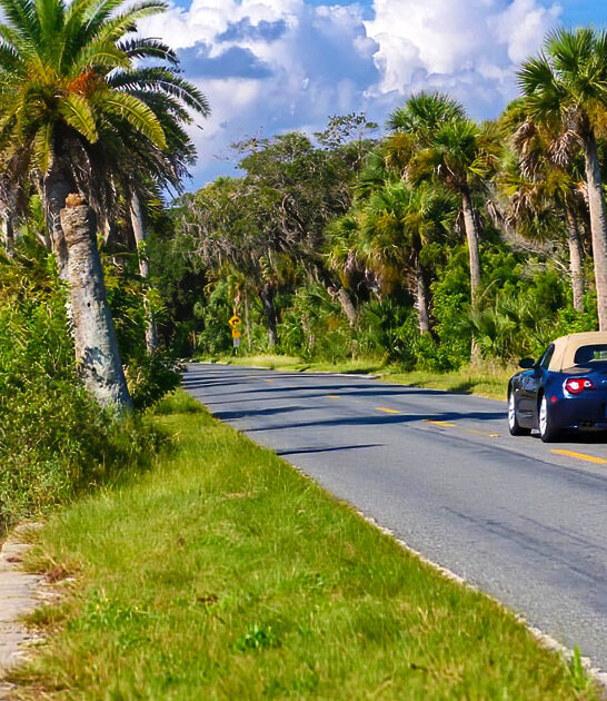 dreamy florida road trip ftr