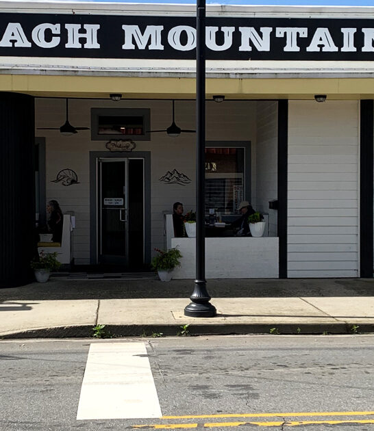 dreamy north carolina diner ftr