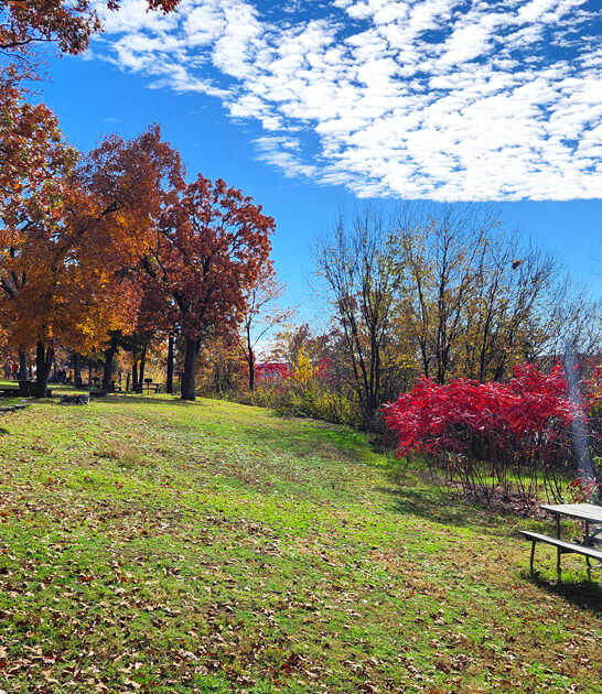 dreamy oklahoma state park ftr