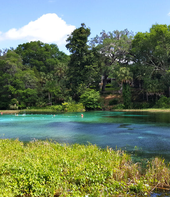 dreamy park florida make ftr