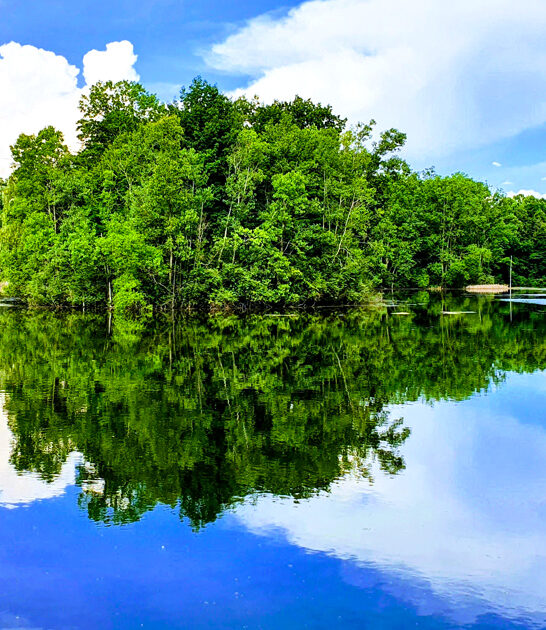 dreamy park michigan painting ftr