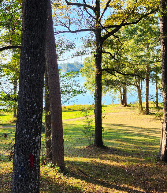 dreamy park mississippi feels ftr