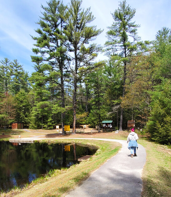 dreamy park new hampshire ftr