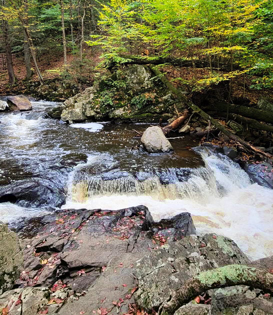 dreamy park new jersey ftr