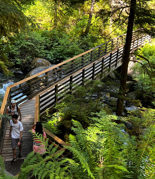 dreamy park washington gorgeous ftr