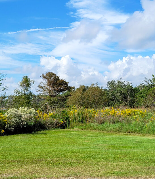 dreamy state park mississippi ftr