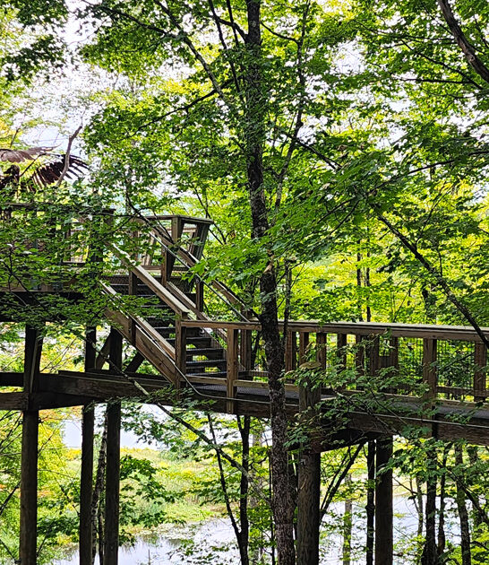 dreamy state park vermont ftr