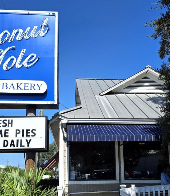 drive florida delicious donuts ftr