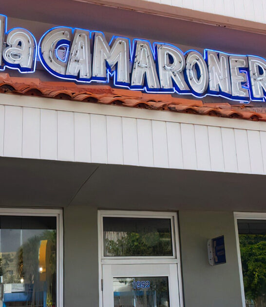 drive florida fish sandwich ftr