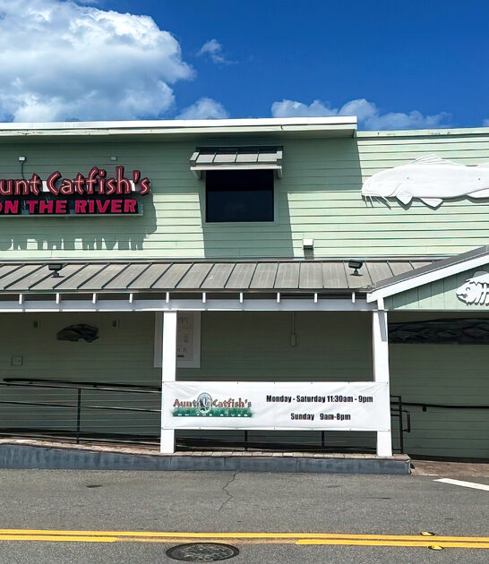 drive florida iconic seafood ftr