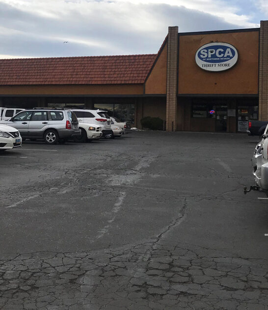 drive nevada secondhand shop FTR