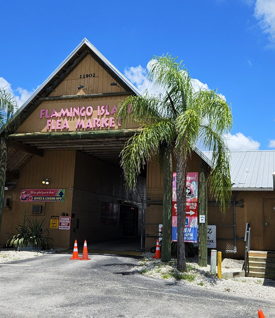 enormous dream bargain florida ftr