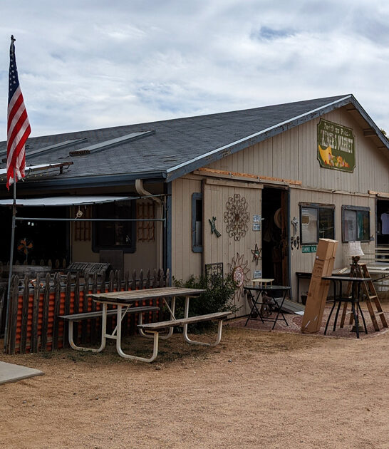 enormous flea arizona fill ftr