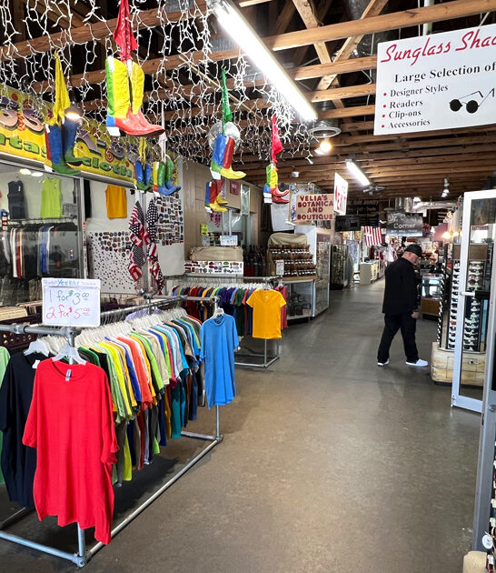 enormous flea florida find ftr