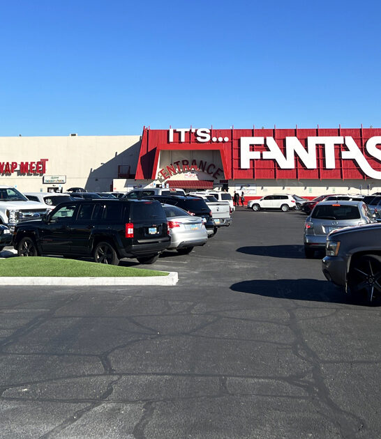 enormous flea nevada market ftr