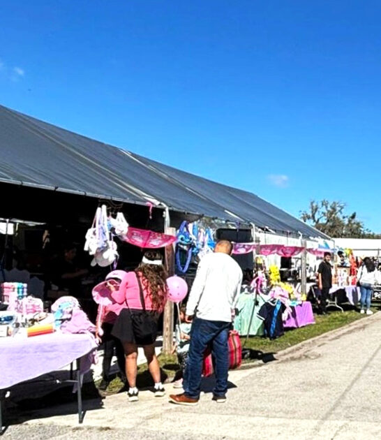 enormous florida offers deals ftr