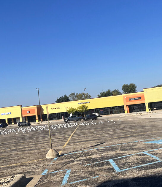 enormous outlet mall wisconsin ftr