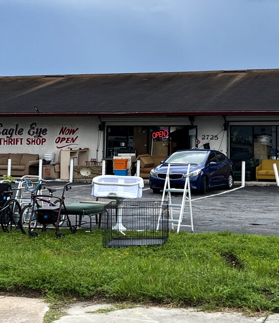 enormous secondhand florida gems ftr