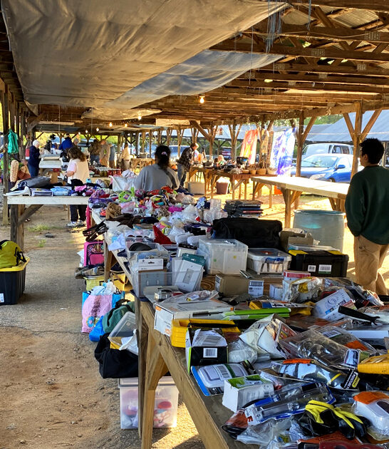 enormous south carolina swap ftr