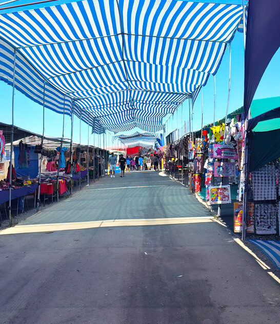 enormous swap meets washington ftr